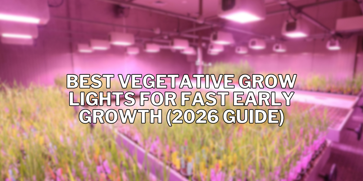 Best Vegetative Grow Lights for Fast Early Growth (2026 Guide) — LED ...