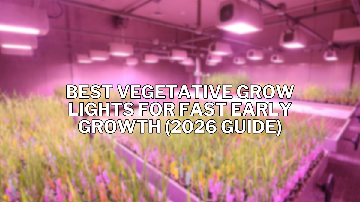 Best Vegetative Grow Lights for Fast Early Growth (2026 Guide) — LED ...