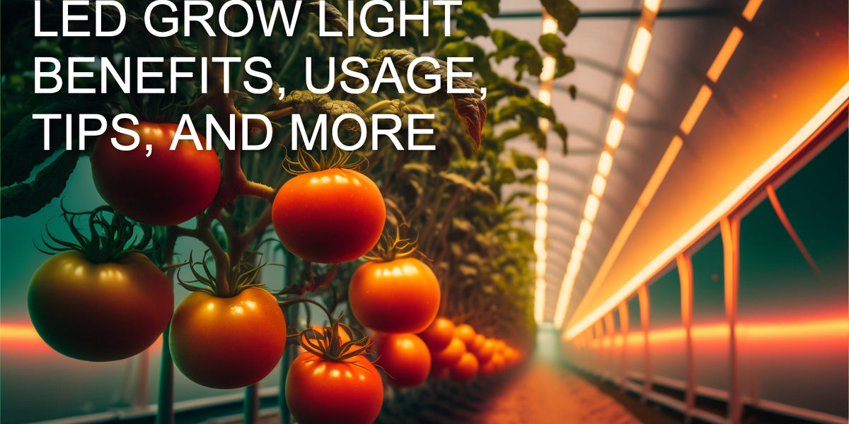 LED Grow Light Overview—Benefits, Usage, Tips, and More! — LED Grow ...