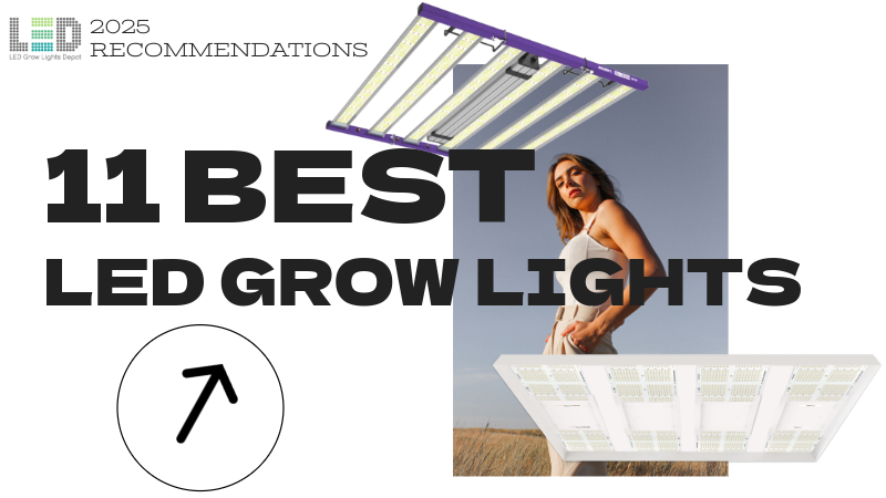 Best LED Grow Lights 2025 | ULTIMATE GUIDE! — LED Grow Lights Depot