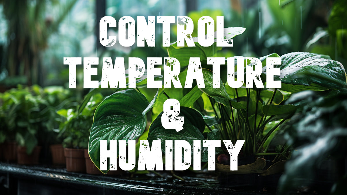 Mastering Temperature and Humidity Control in Your Indoor Grow Space ...