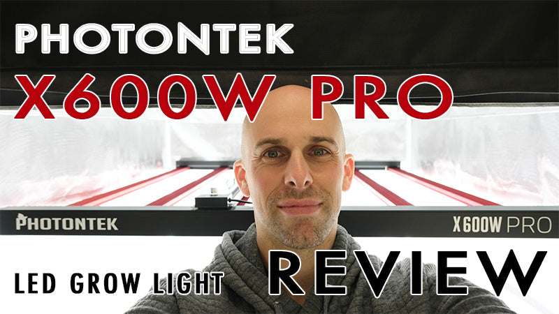 PhotonTek X 600W Pro Review — LED Grow Lights Depot