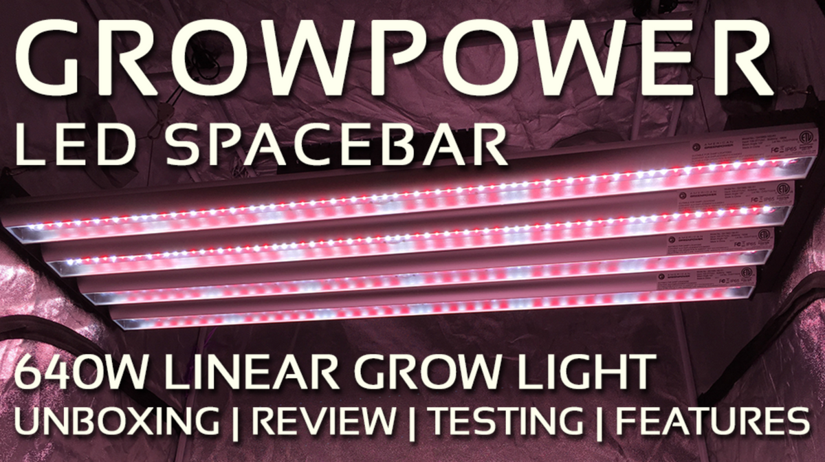 GrowPower LED Spacebar 640W Linear Grow Light Review — LED Grow Lights ...