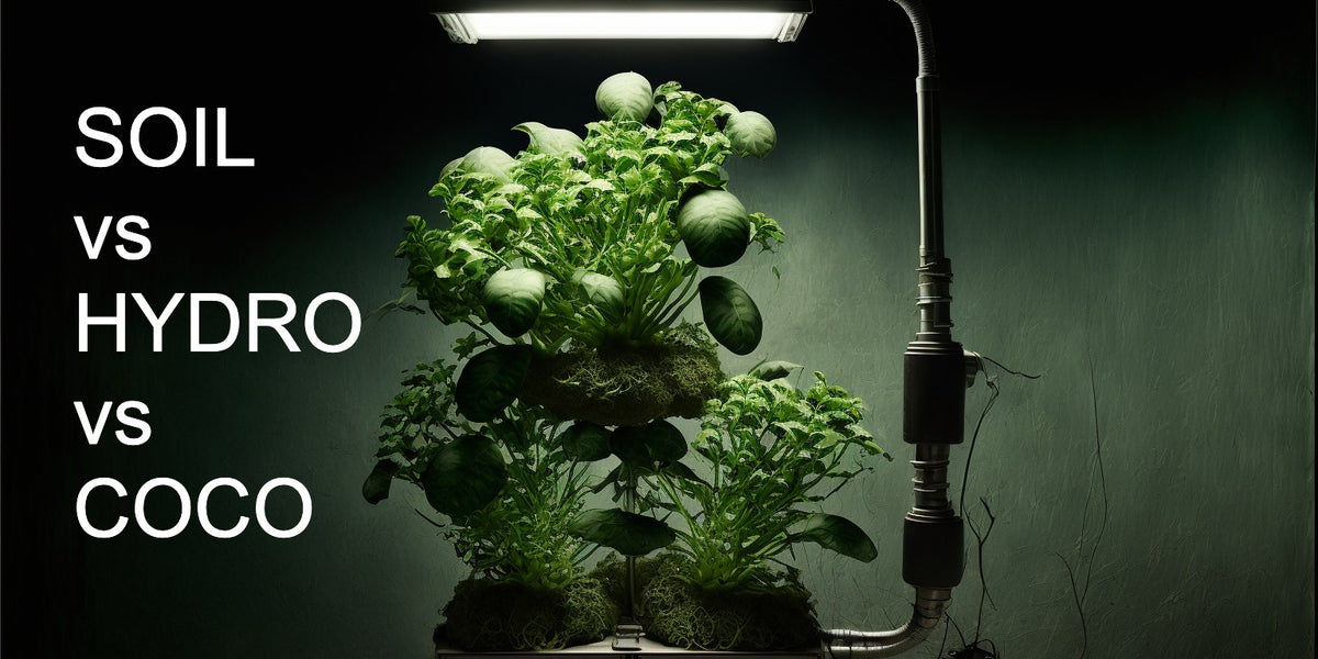 Soil vs Hydroponics vs Coco Coir – Advantages and Disadvantages — LED ...