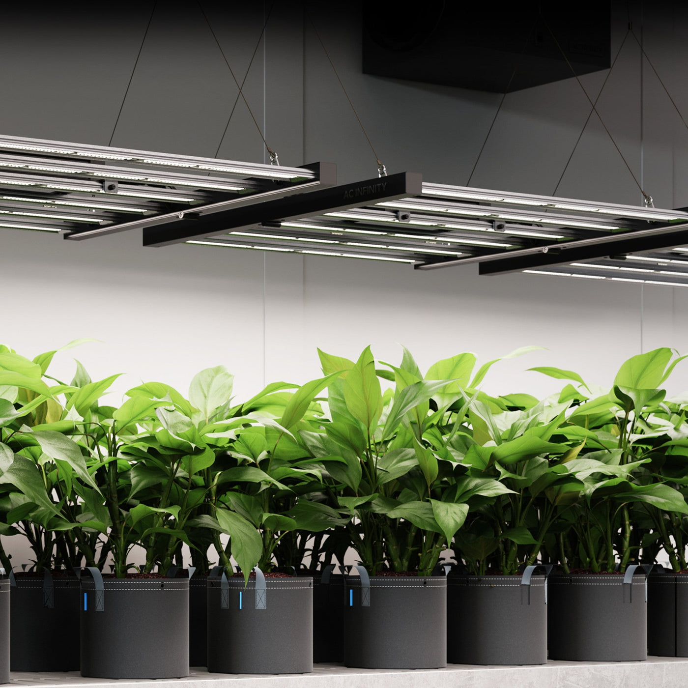 Buy AC Infinity IONFRAME EVO4, Commercial LED Grow Light 300W — LED ...