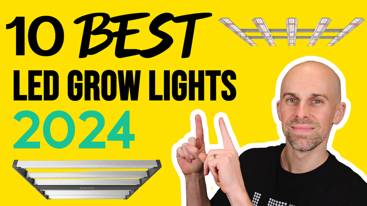 10 BEST LED Grow Lights 2024 — LED Grow Lights Depot
