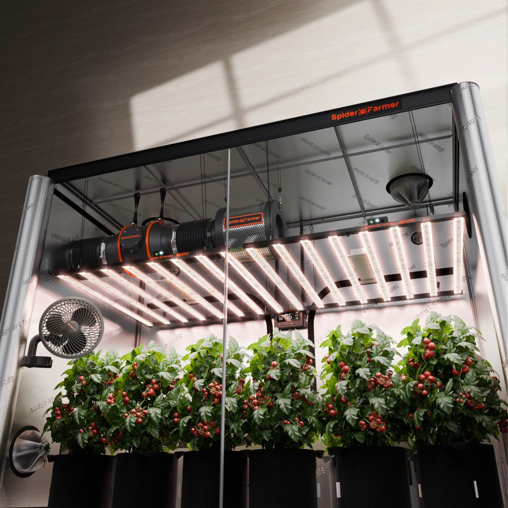 Buy Spider Farmer® 10’x5’x6.5′ Complete Grow Tent Kit丨2 X G1000W Lights ...