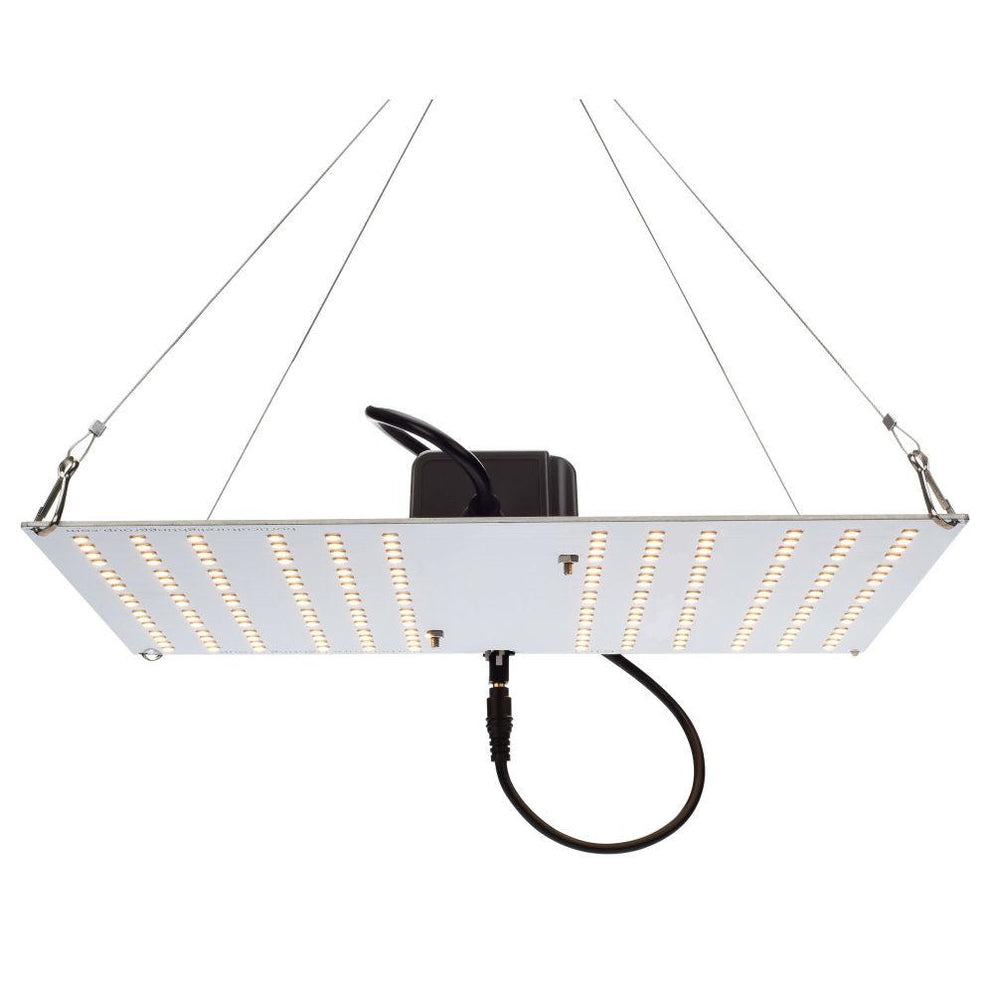 HLG 100 (4000K) LED Grow Light - Horticulture Lighting Group — LED Grow ...